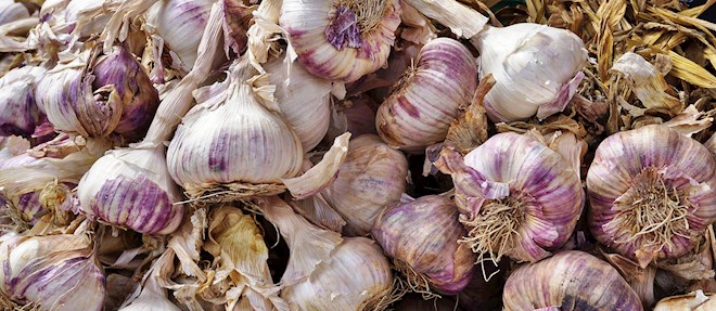 Bulb Vegetables of the World: 45 Bulb Vegetable Types | TasteAtlas