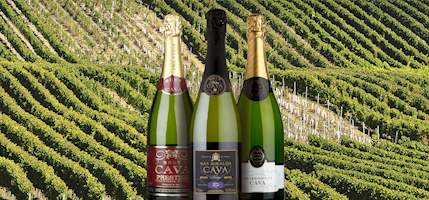 TasteAtlas - Local food around the world