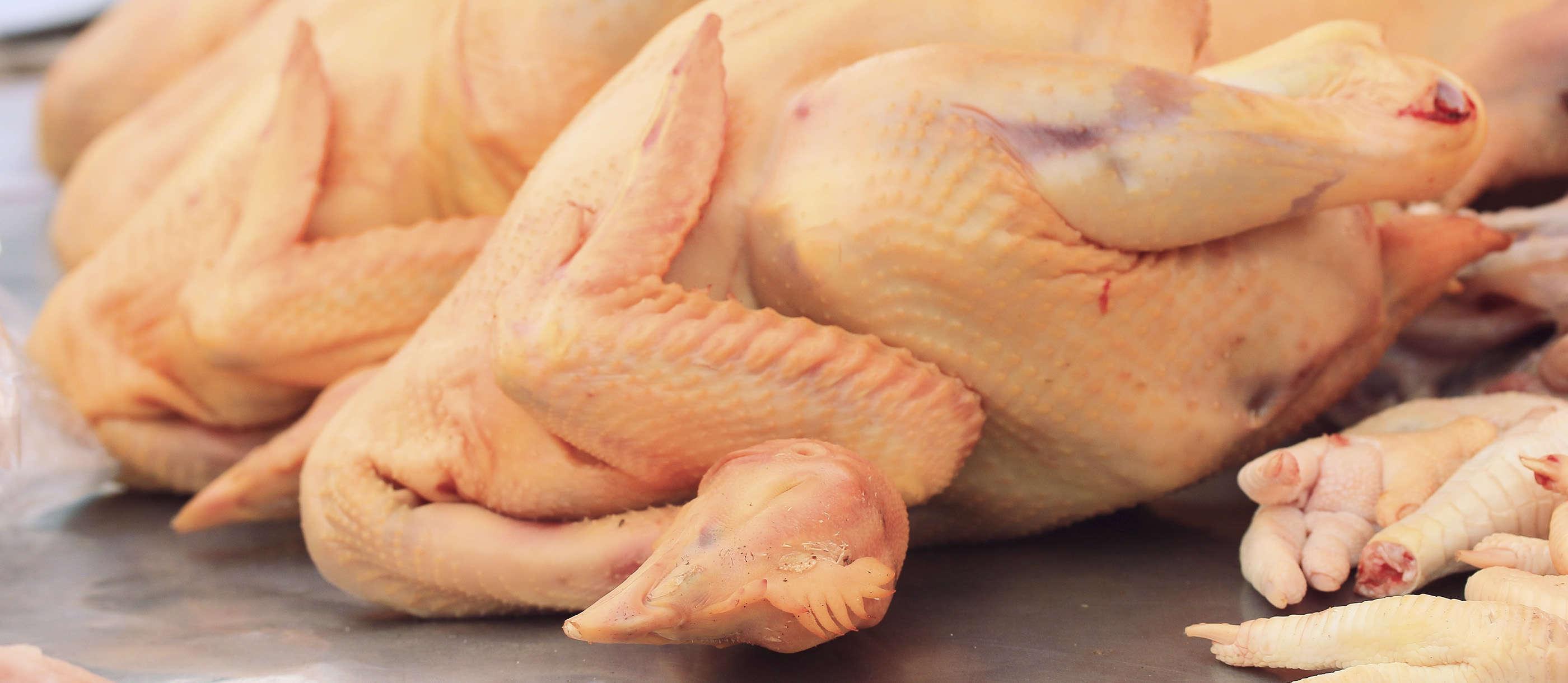 Volailles de Janzé | Local Poultry From Janzé, France | TasteAtlas