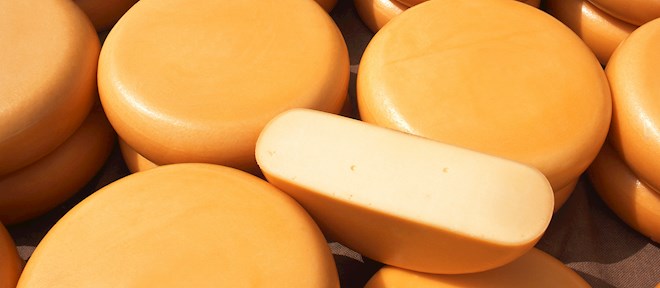 Dutch Cheeses: 20 Cheese Types in Netherlands | TasteAtlas