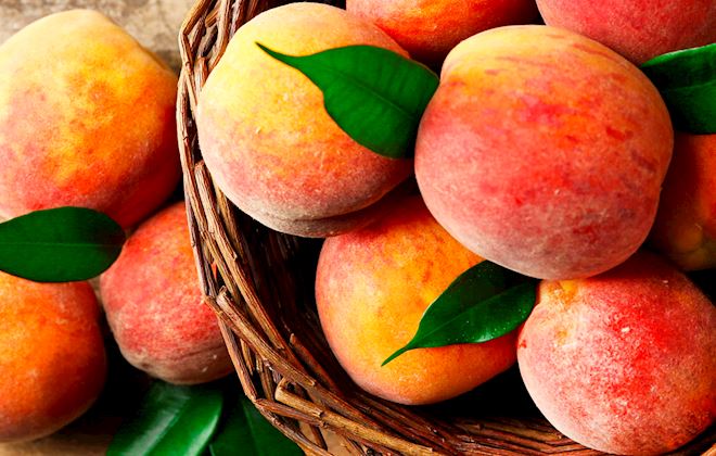 European Fruits (types and products): 146 Fruits (types and products ...