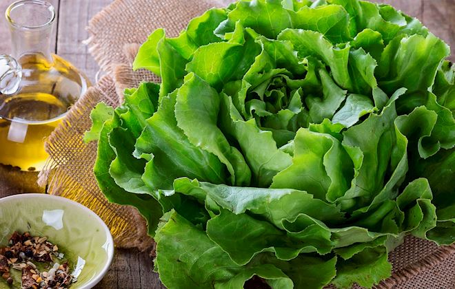 Leaf Vegetables of the World: 24 Leaf Vegetable Types | TasteAtlas