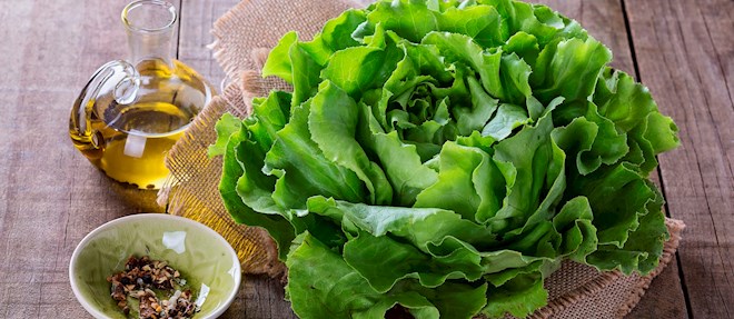 Lettuces of the World: 4 Lettuce Types | TasteAtlas
