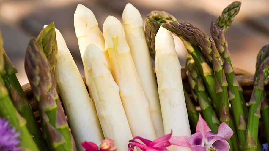 Best Rated Stalk Vegetables in the World - TasteAtlas