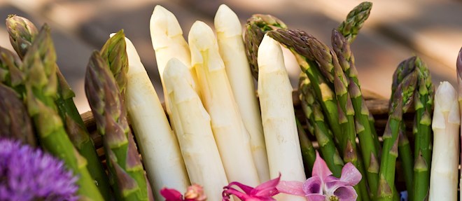 Stalk Vegetables of the World: 23 Stalk Vegetable Types | TasteAtlas