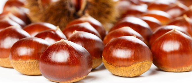 Chestnuts of the World: 20 Chestnuts Types | TasteAtlas