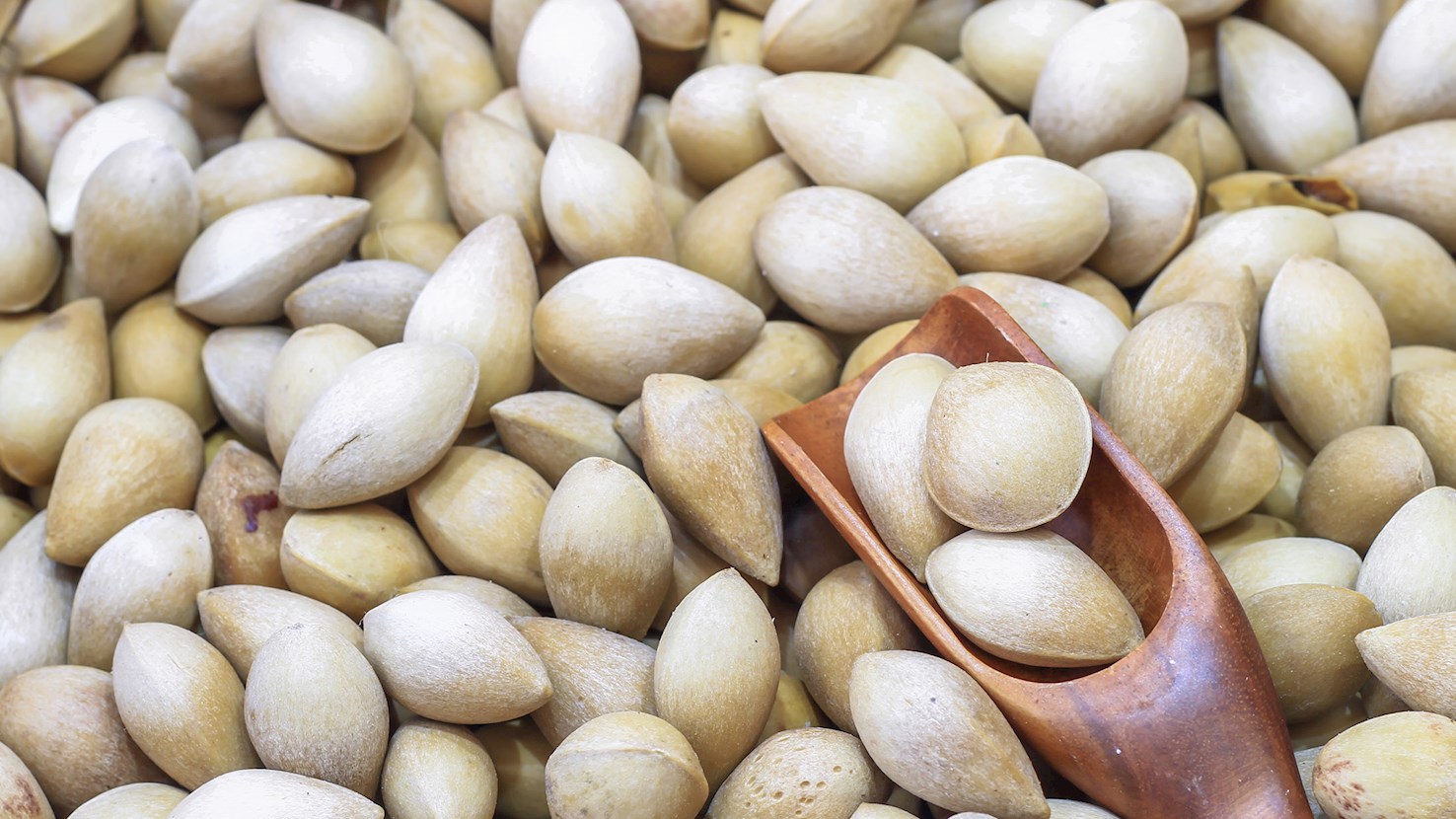 Worst Rated Nuts and Seeds in the World - TasteAtlas
