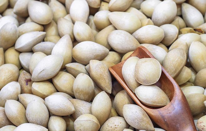 Nuts and Seeds of the World: 48 Nuts/Seeds Types | TasteAtlas