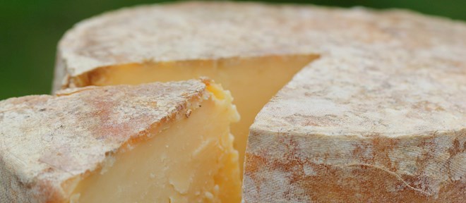 Scottish Cheeses: 17 Cheese Types in Scotland | TasteAtlas