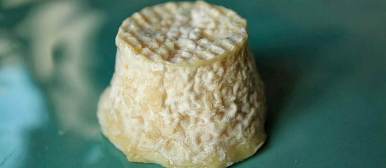 Mâconnais | Local Cheese From Mâcon, France