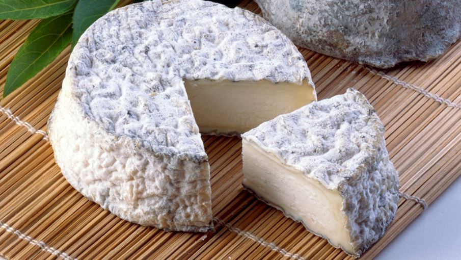 50 Most Popular European Bloomy Rind Cheeses - TasteAtlas