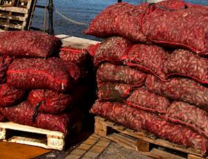 World Shellfish Map | 43 World Shellfish | TasteAtlas