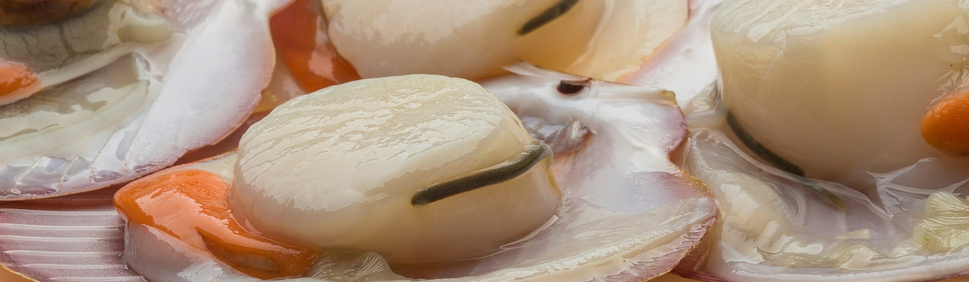 5 Best Scallops in the World - TasteAtlas