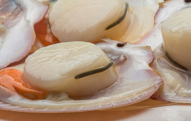 Shellfish of the World: 47 Shellfish Types | TasteAtlas