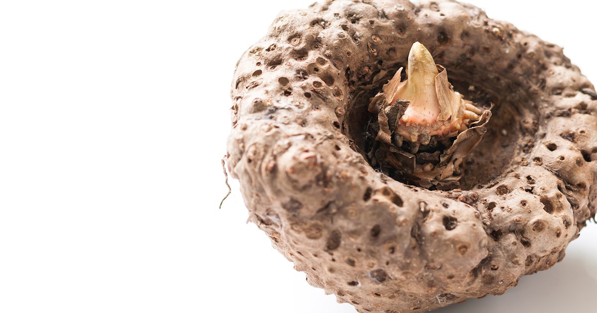 Asian Tubers: 5 Tuber Types in Asia | TasteAtlas