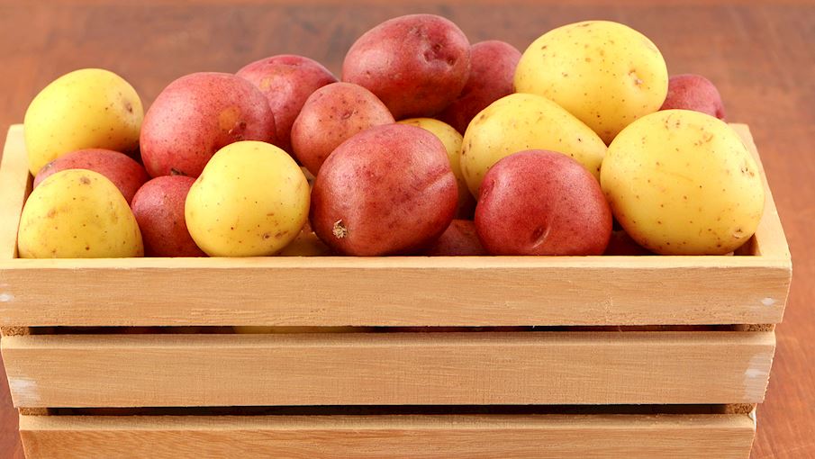 50 Most Popular Western European Vegetables - TasteAtlas