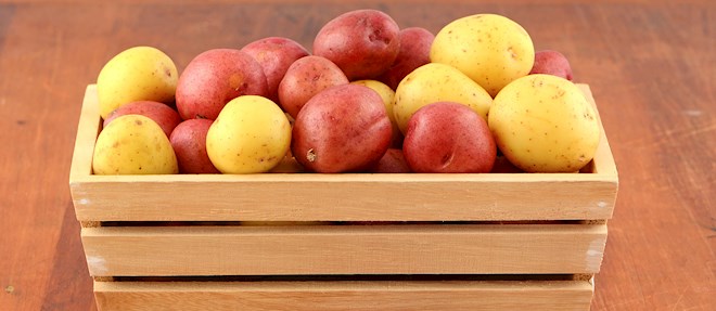 European Potatoes: 42 Potato Types in Europe | TasteAtlas