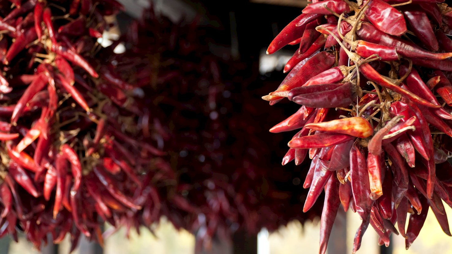 Top 53 Spices in the World - TasteAtlas