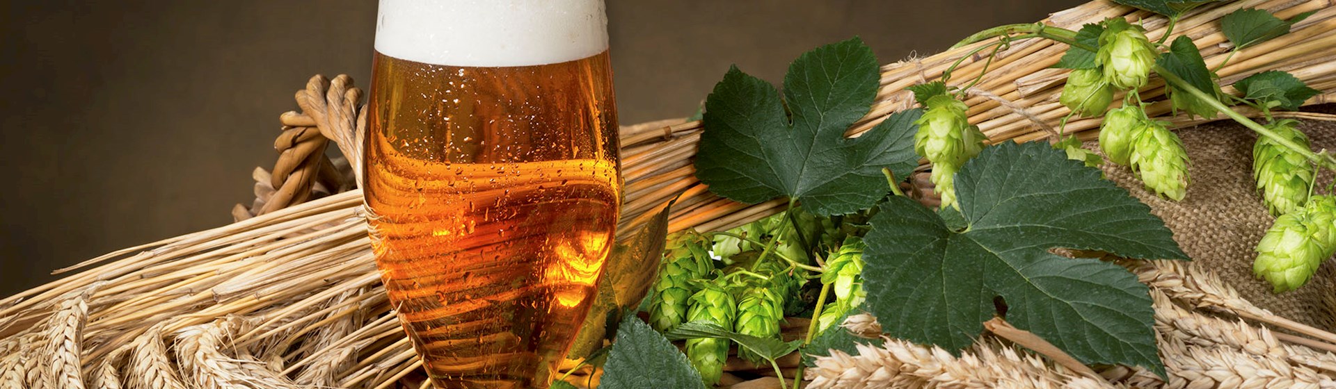 5 Local Foods & Drinks You Have To Try in Přešťovice - TasteAtlas
