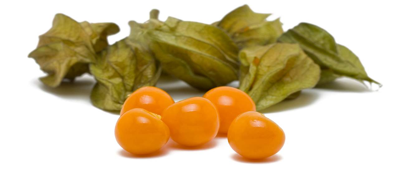 Cape Gooseberry | Local Berries From Brazil