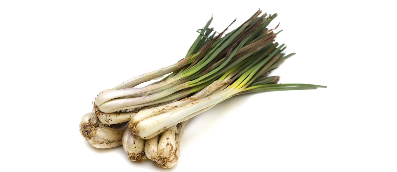 Chinese Onion | Local Bulb Vegetable From China