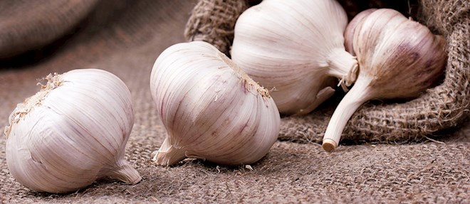 Bulb Vegetables of the World: 45 Bulb Vegetable Types | TasteAtlas
