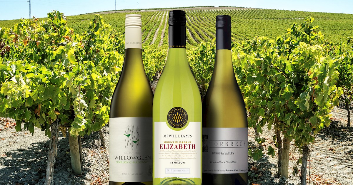 Semillon | Local Wine Variety From Gironde, France