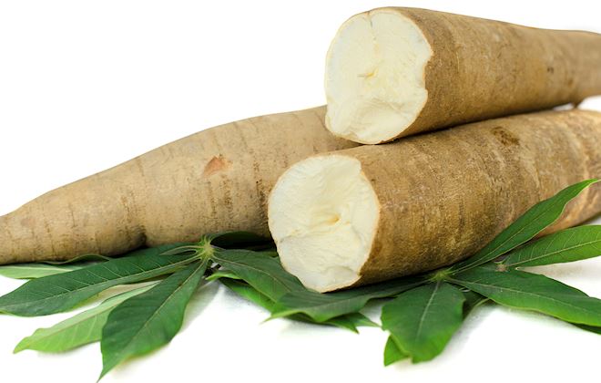 Vegetables of the World: 247 Vegetable Types | TasteAtlas