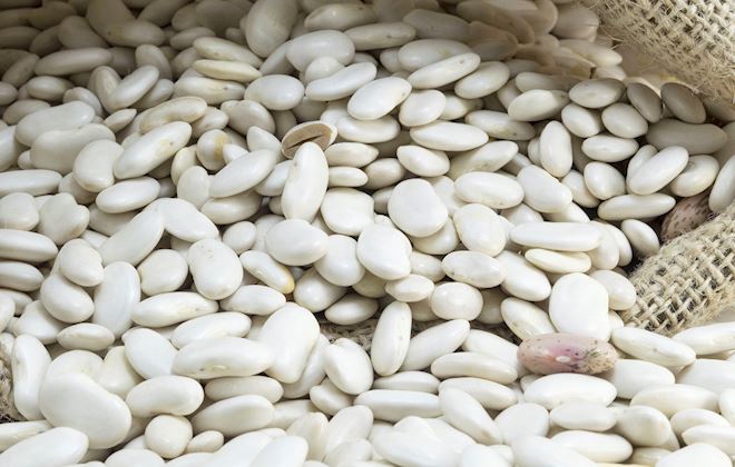 European Legumes: 38 Legumes Types in Europe | TasteAtlas