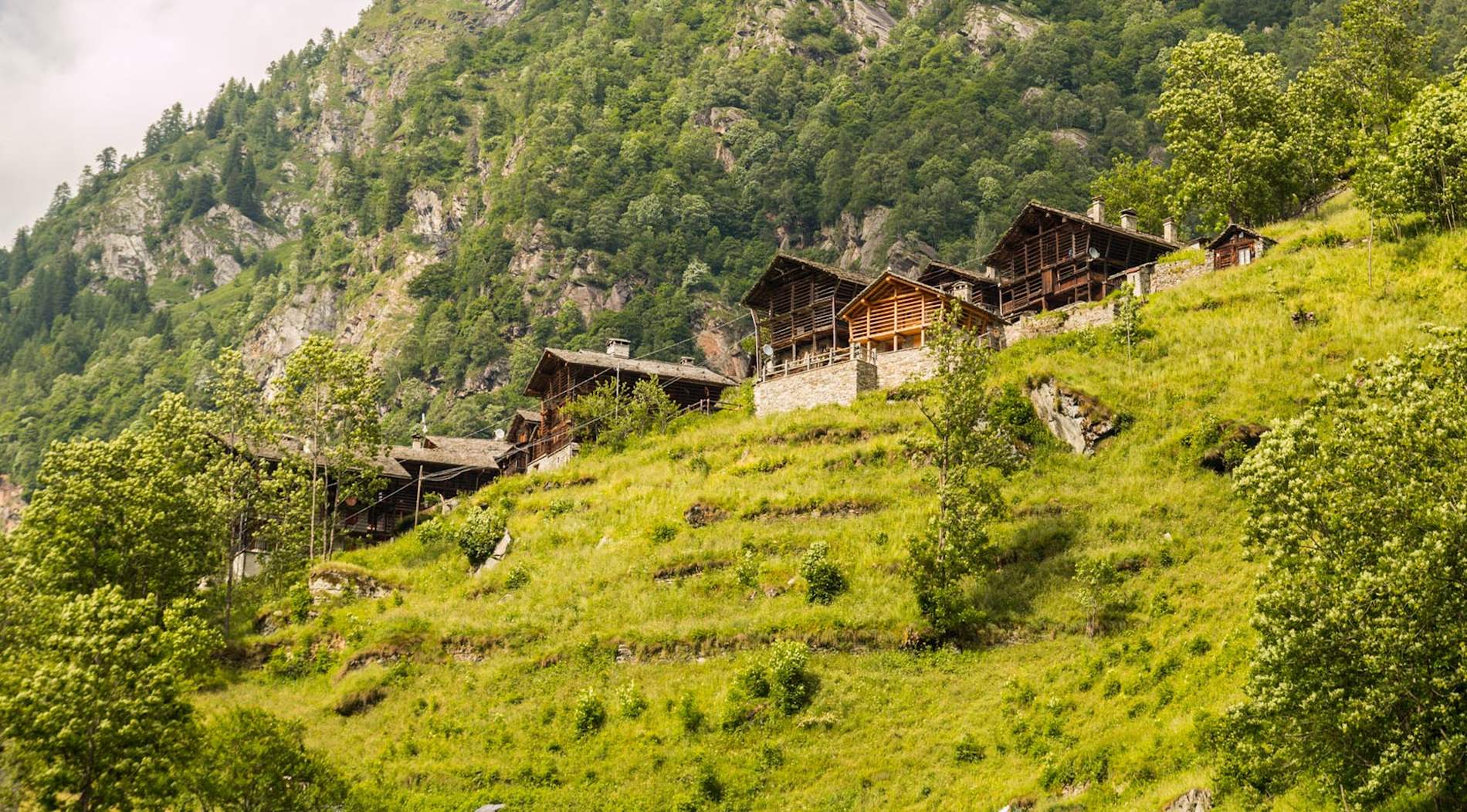 Eat Local in the Province of Vercelli