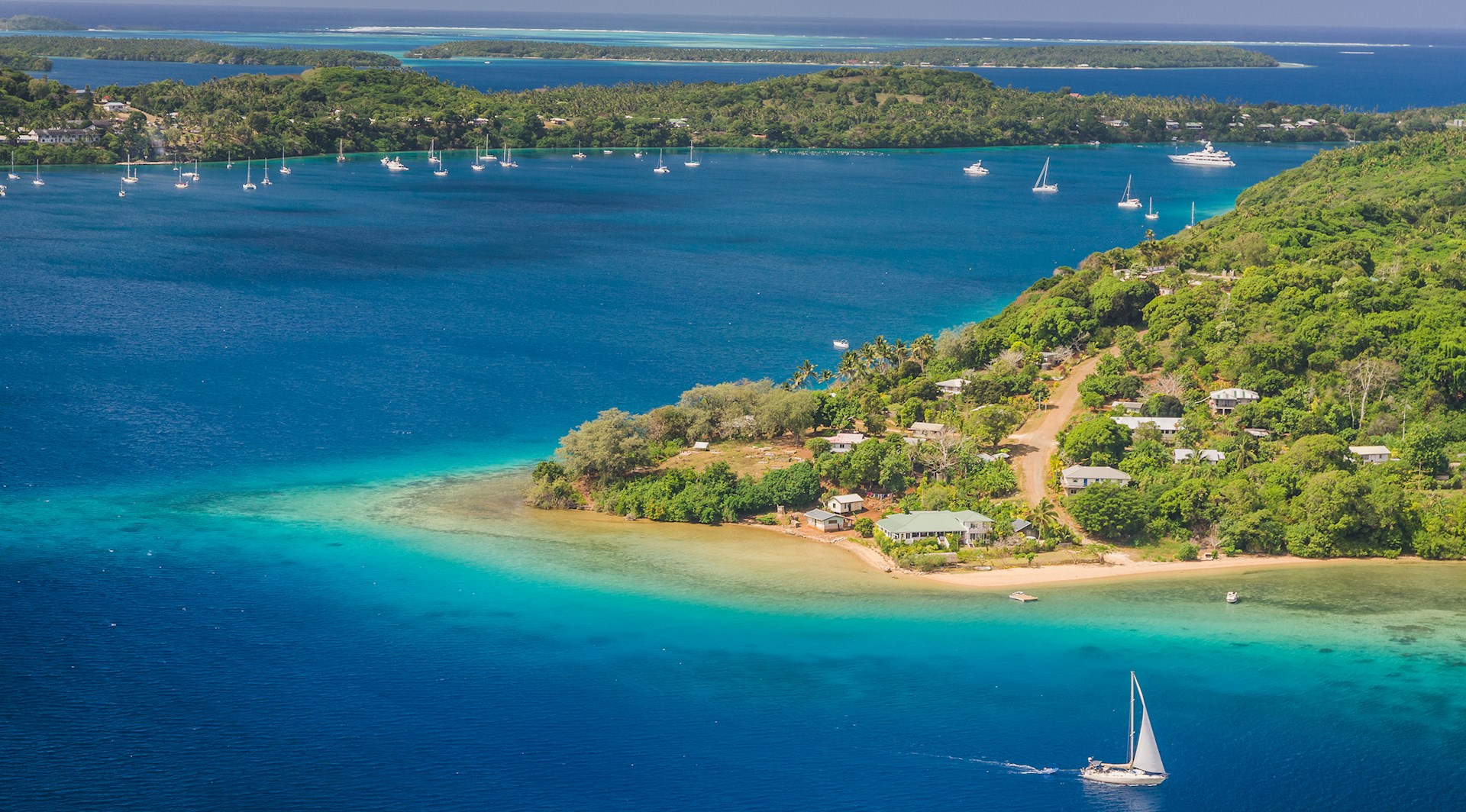 Eat Local in Tonga - TasteAtlas