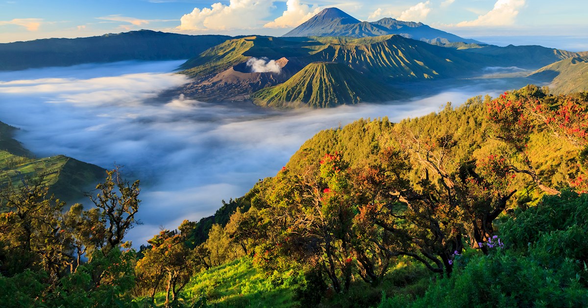 Eat Local in East Java