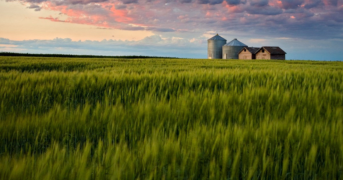 Eat Local in Manitoba - TasteAtlas