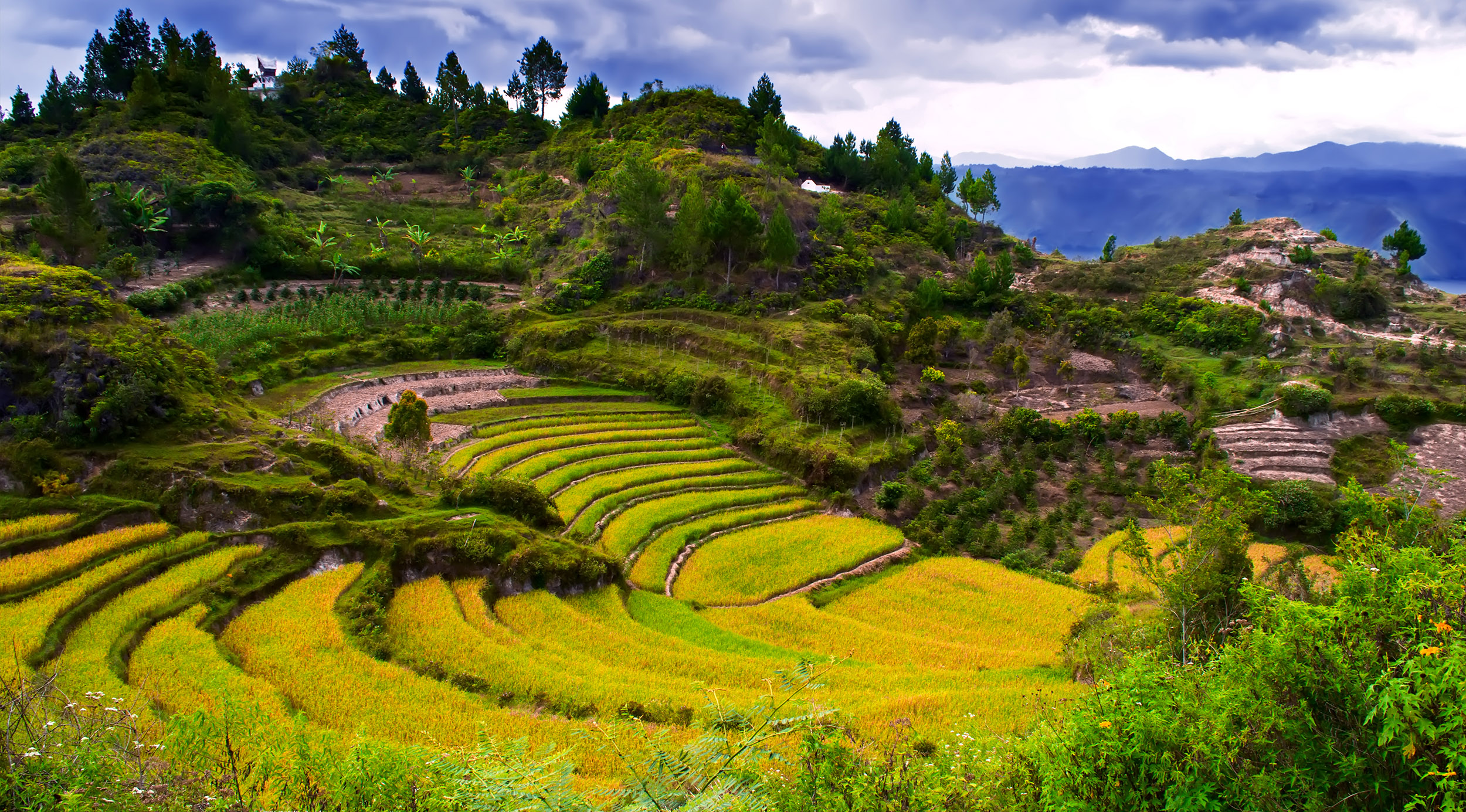 Eat Local in North Sumatra
