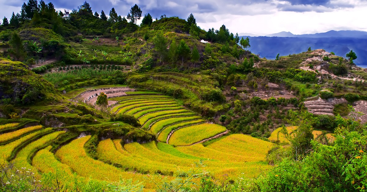 Eat Local in North Sumatra - TasteAtlas