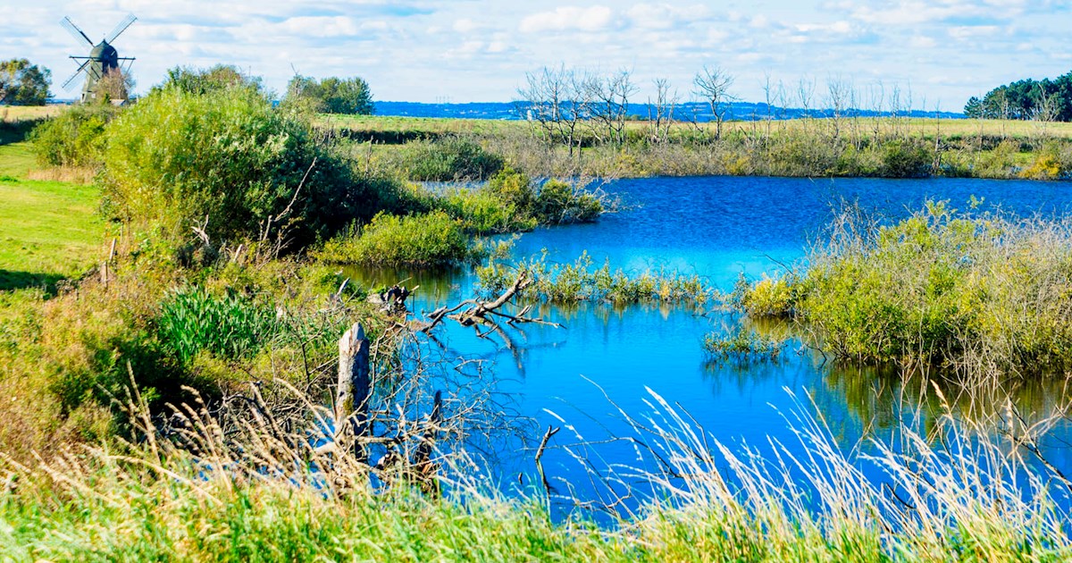 Eat Local in Central Denmark