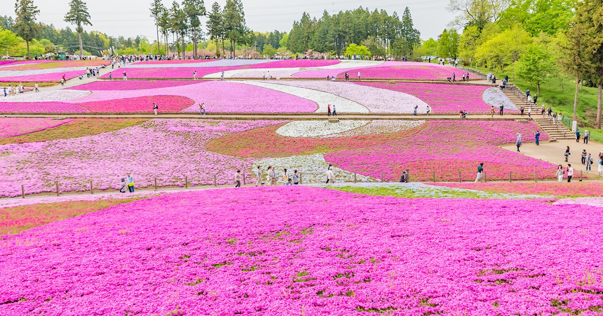 Eat Local in the Kanto Region
