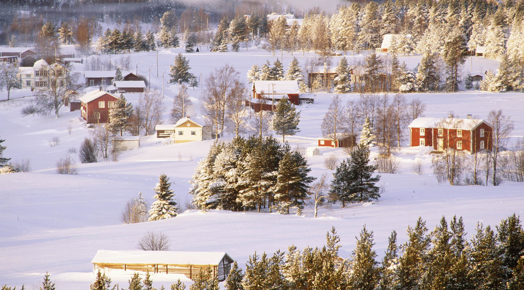 Eat Local in Västerbotten County
