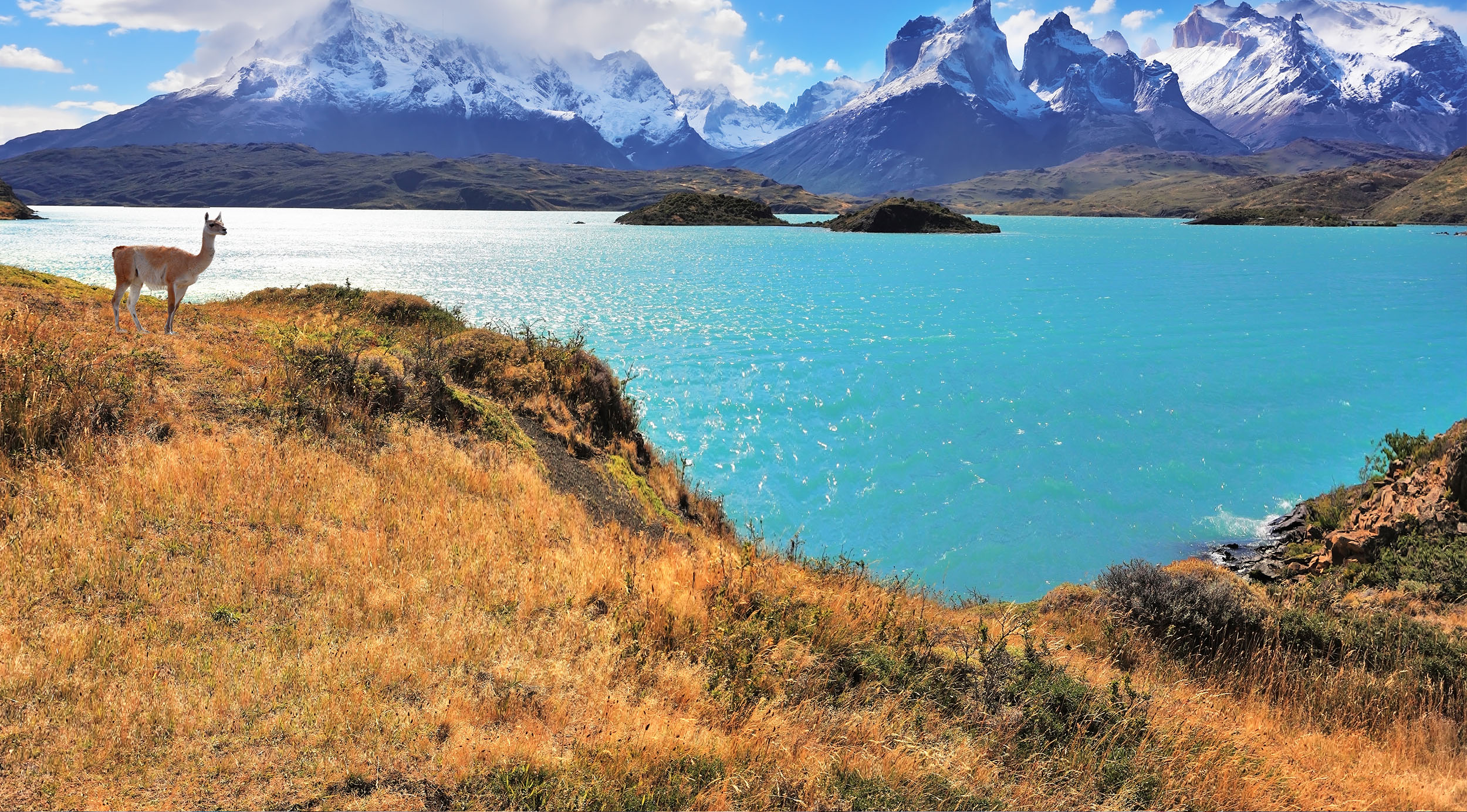 Chilean Food Map | TasteAtlas