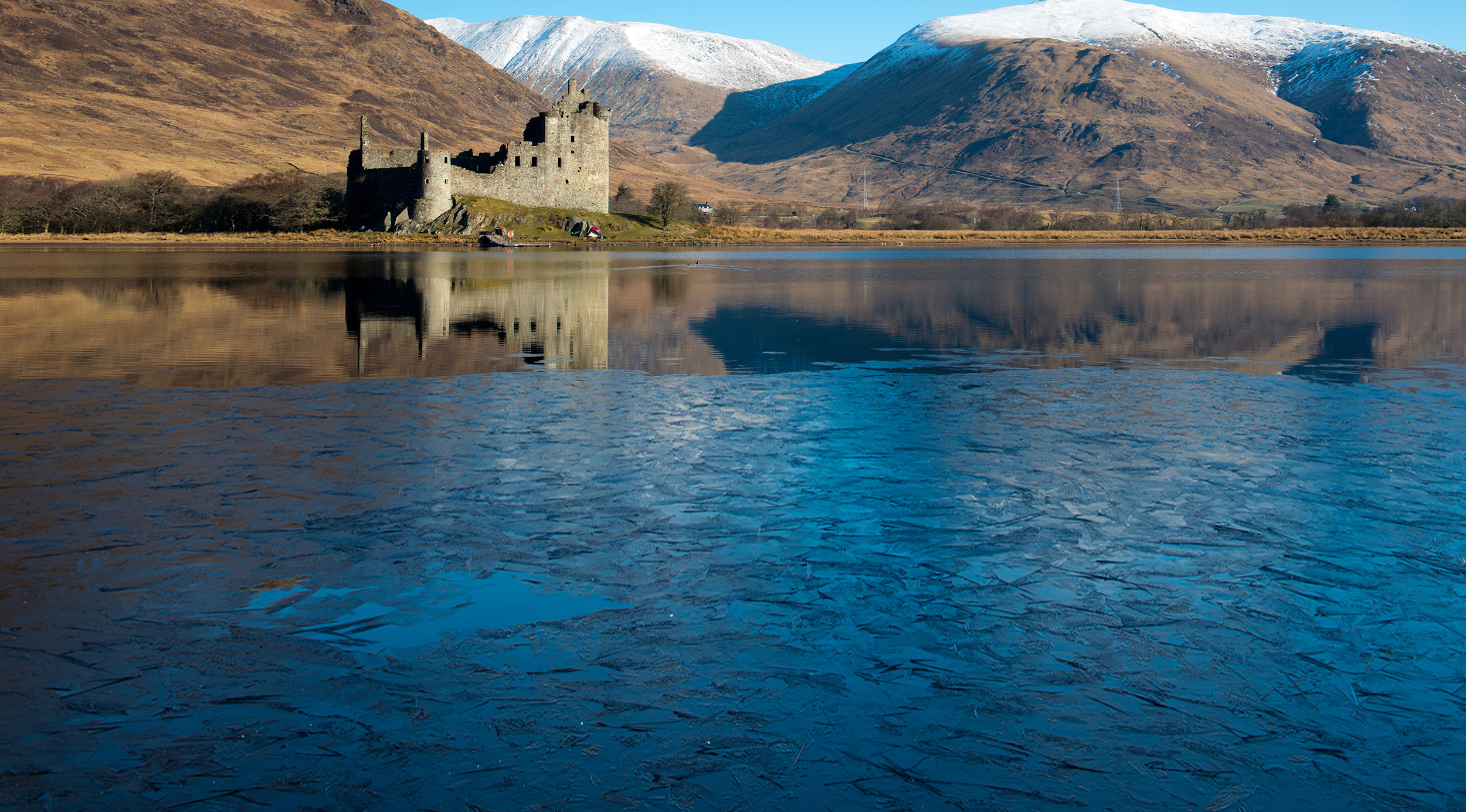 Eat Local in Highland