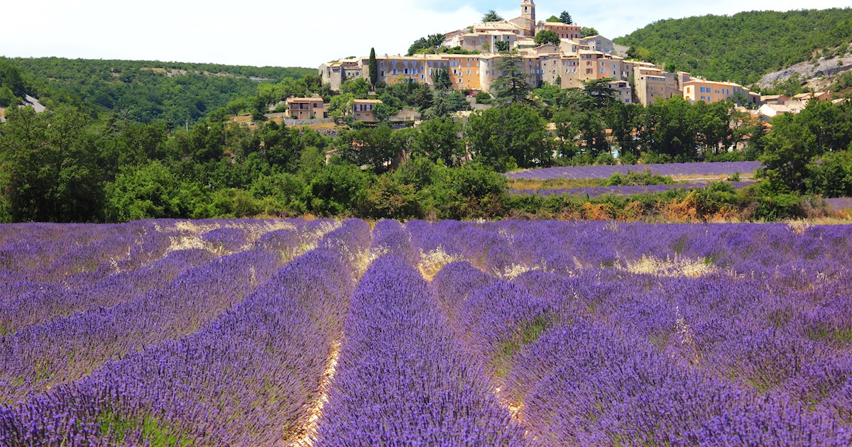 Eat Local in Alpes-de-Haute-Provence