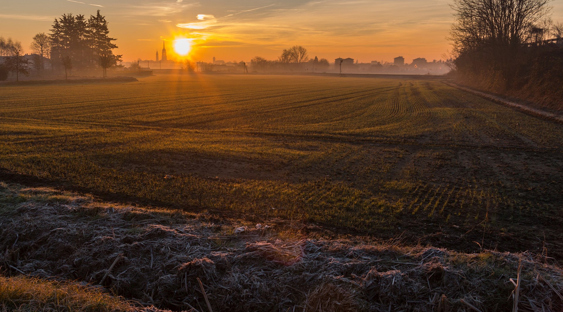 Eat Local in the Province of Novara - TasteAtlas