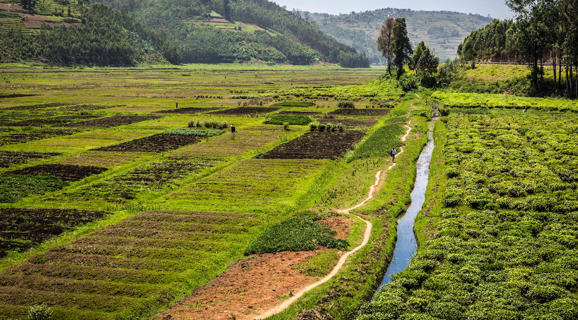 Eat Local in Rwanda - TasteAtlas