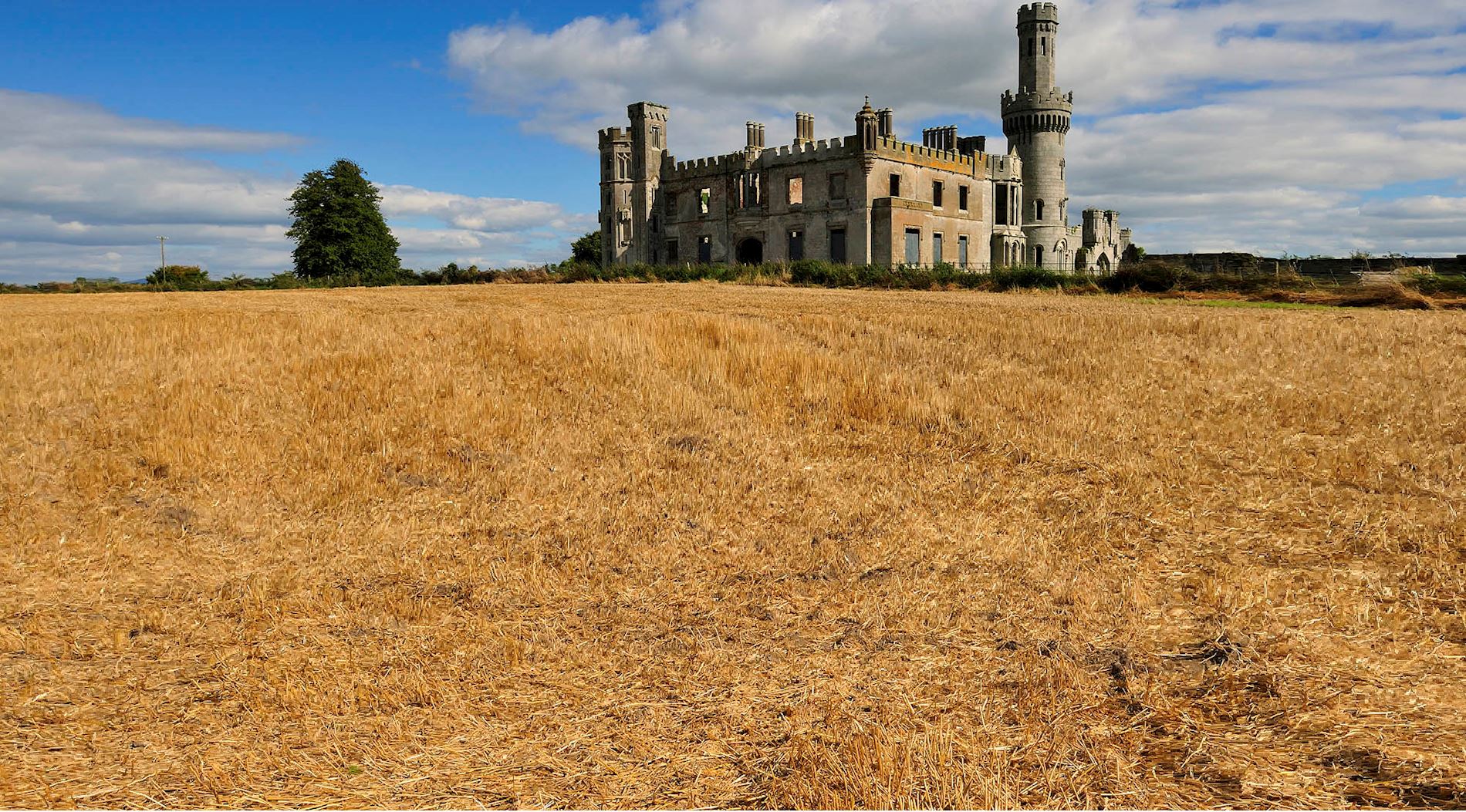 Eat Local in County Carlow