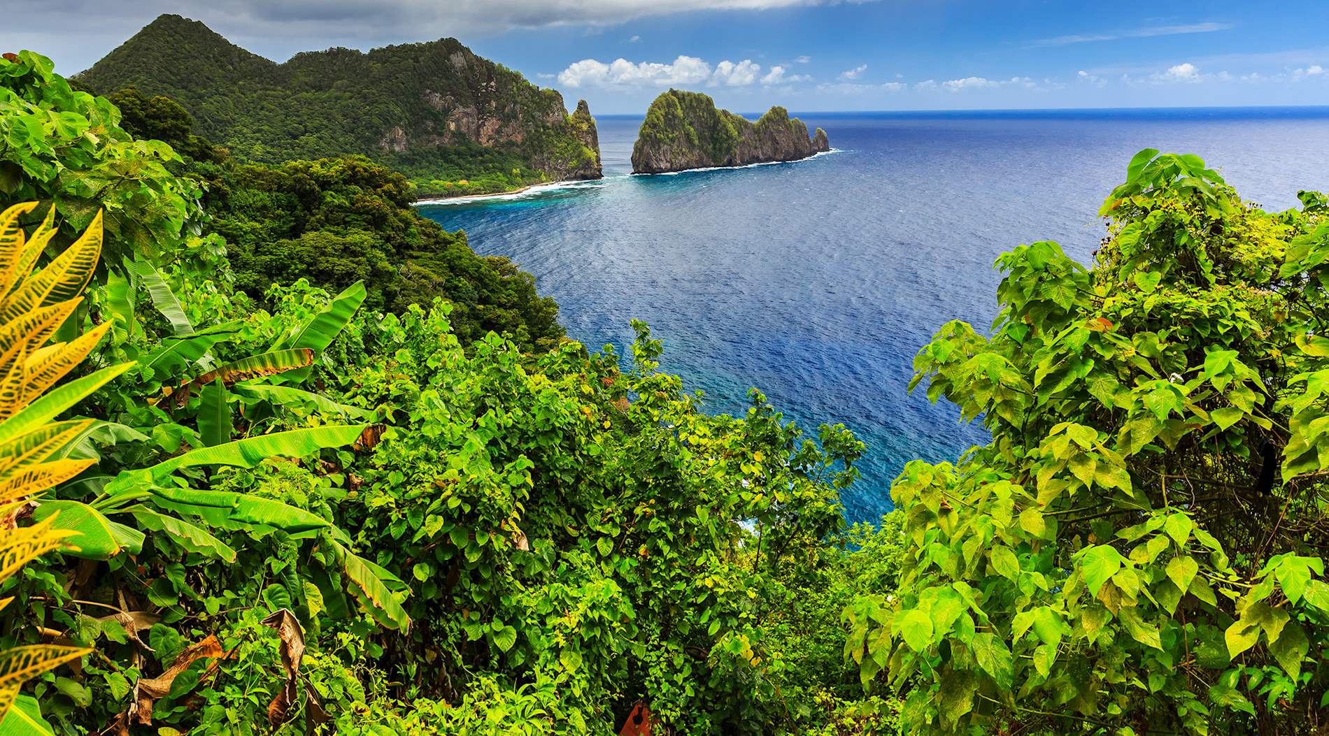 Samoan Food Map | Local Food in Samoa | TasteAtlas