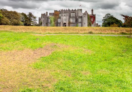 Irish Food Map | Local Food in Ireland | TasteAtlas