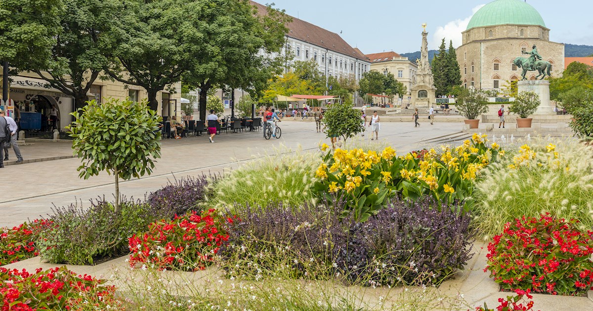 Eat Local in Pécs District