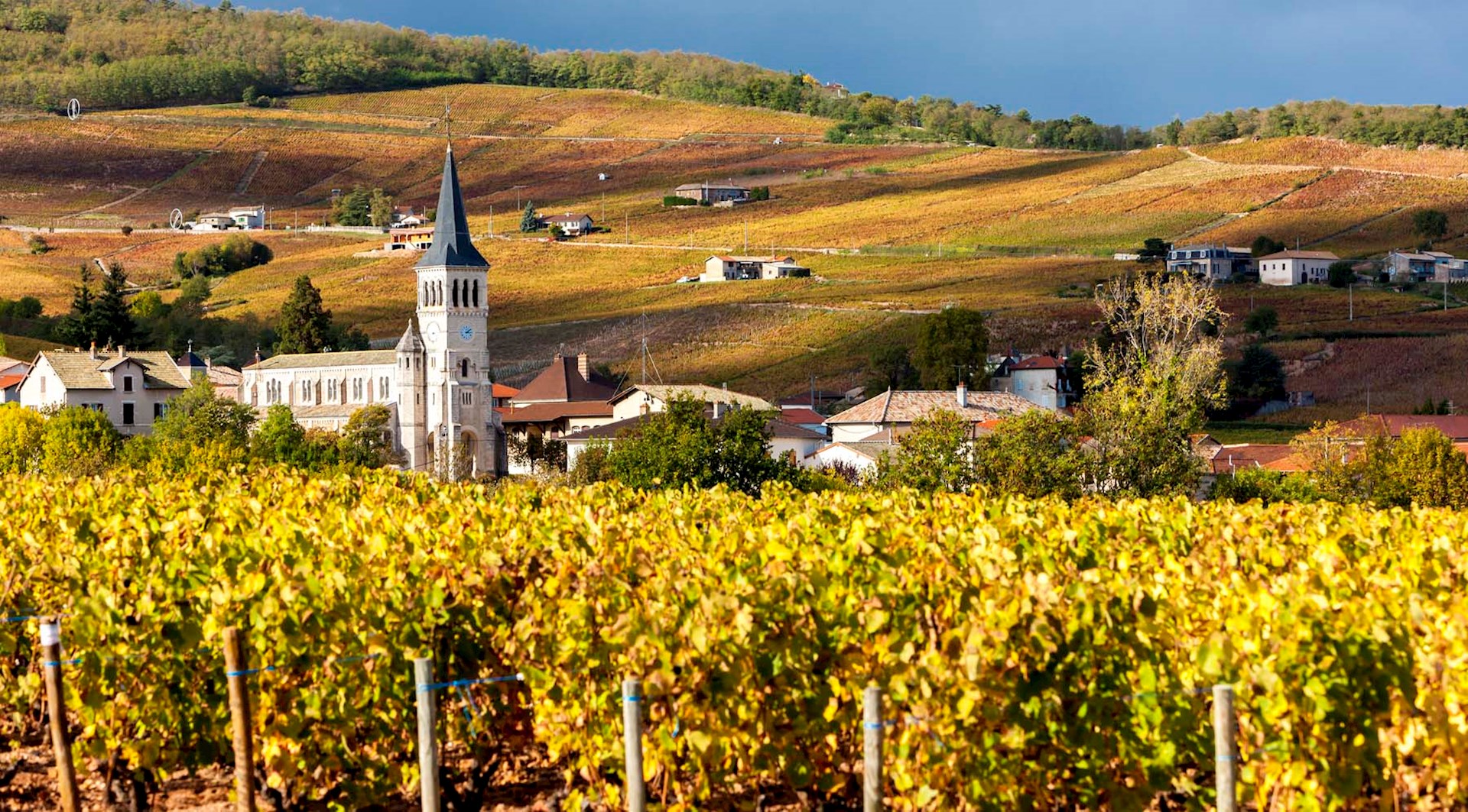 Eat Local in Rhône - TasteAtlas