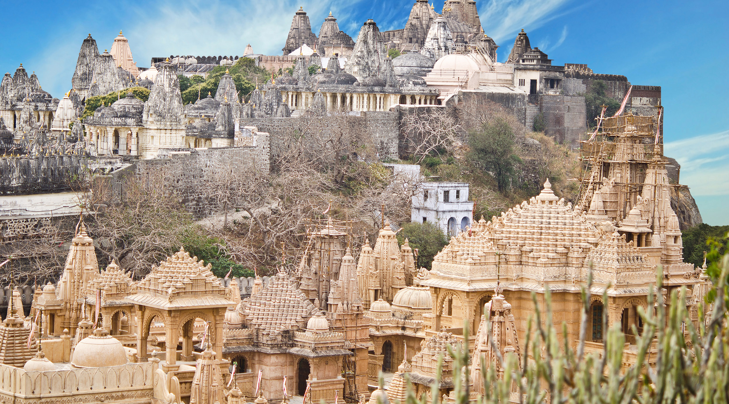 Eat Local in Gujarat