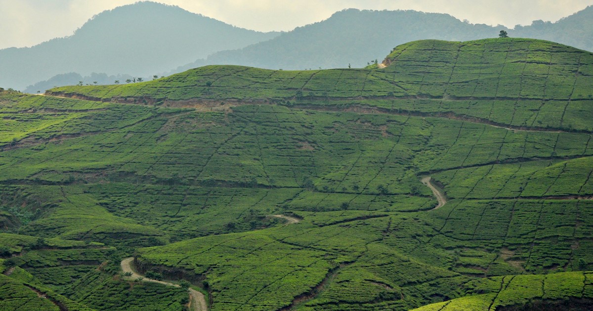 Eat Local in West Java - TasteAtlas